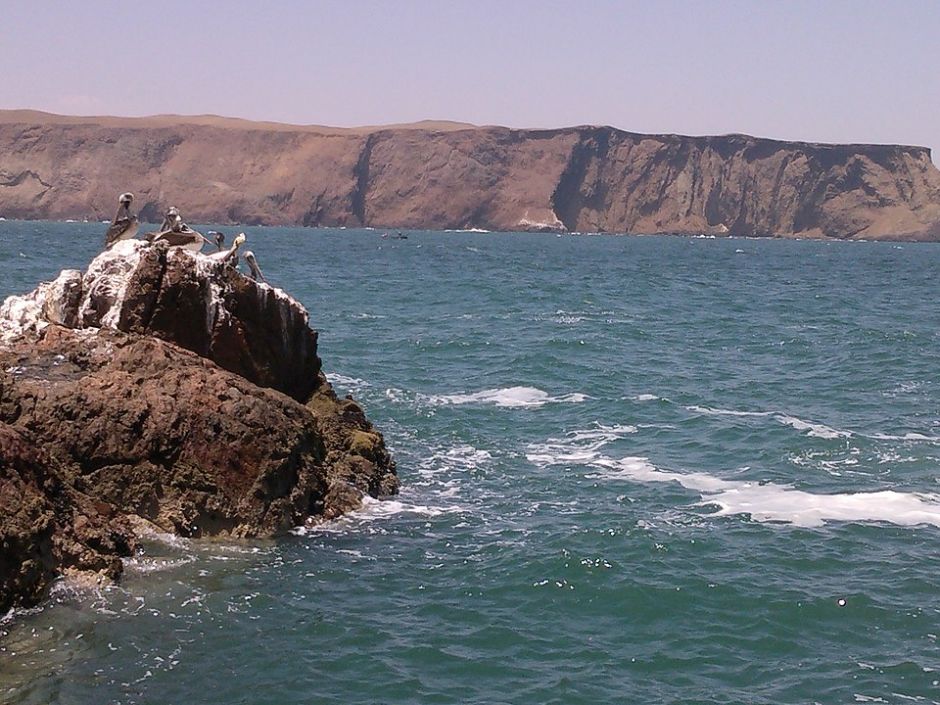 Paracas, Guide and information of the city of Paracas in Peru