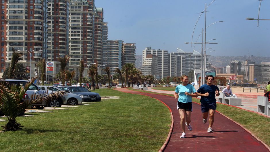 ViÃ±a del Mar, Information and guide of ViÃ±a del Mar