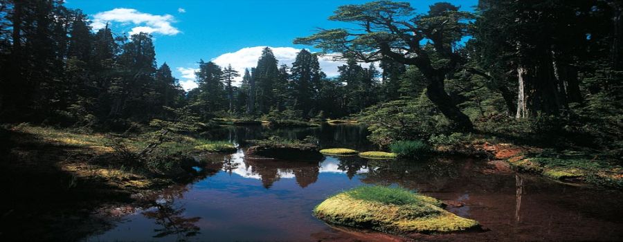 Hornopiren National Park, Guide of National parks in CHILE