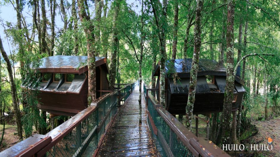 Canopy Village, huilo huilo